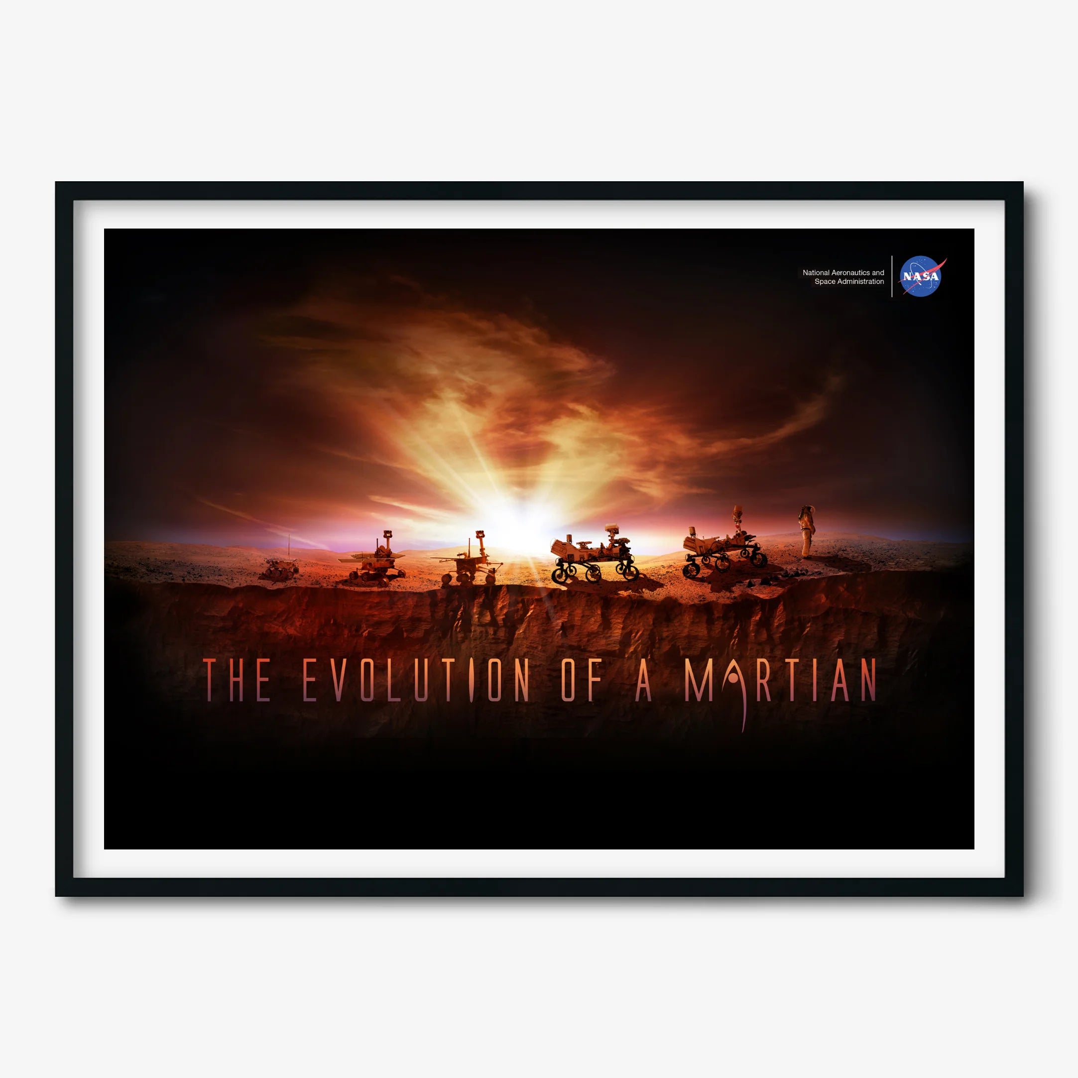 Buy The Evolution of Martian: NASA Poster | FineArt, AstroPanel ...